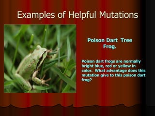 Mutations ppt.pdf