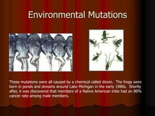 Mutations ppt.pdf