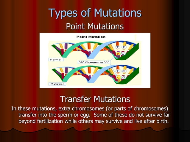 Mutations ppt.pdf