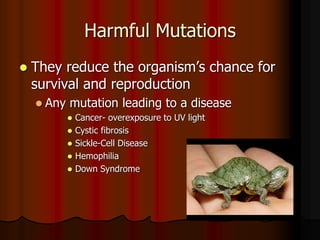 Mutations ppt.pdf