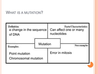 Point Mutation Definition