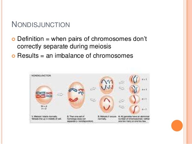 Nondisjunction Mutation
