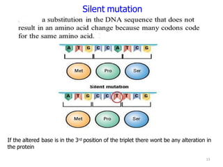 Mutations- Definition, Types with examples | PDF