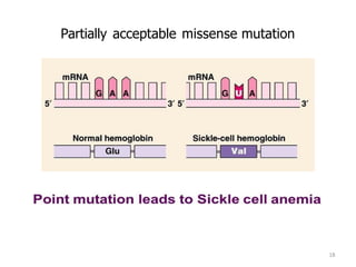 Mutations- Definition, Types with examples | PDF