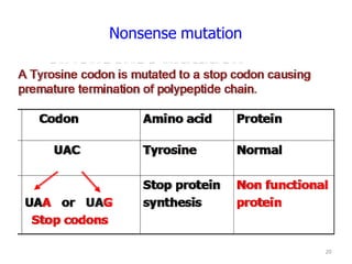 Mutations- Definition, Types with examples | PDF