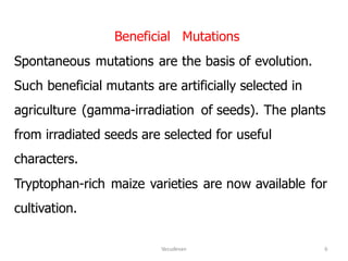 Mutations- Definition, Types with examples | PDF