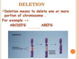 Deletion Definition