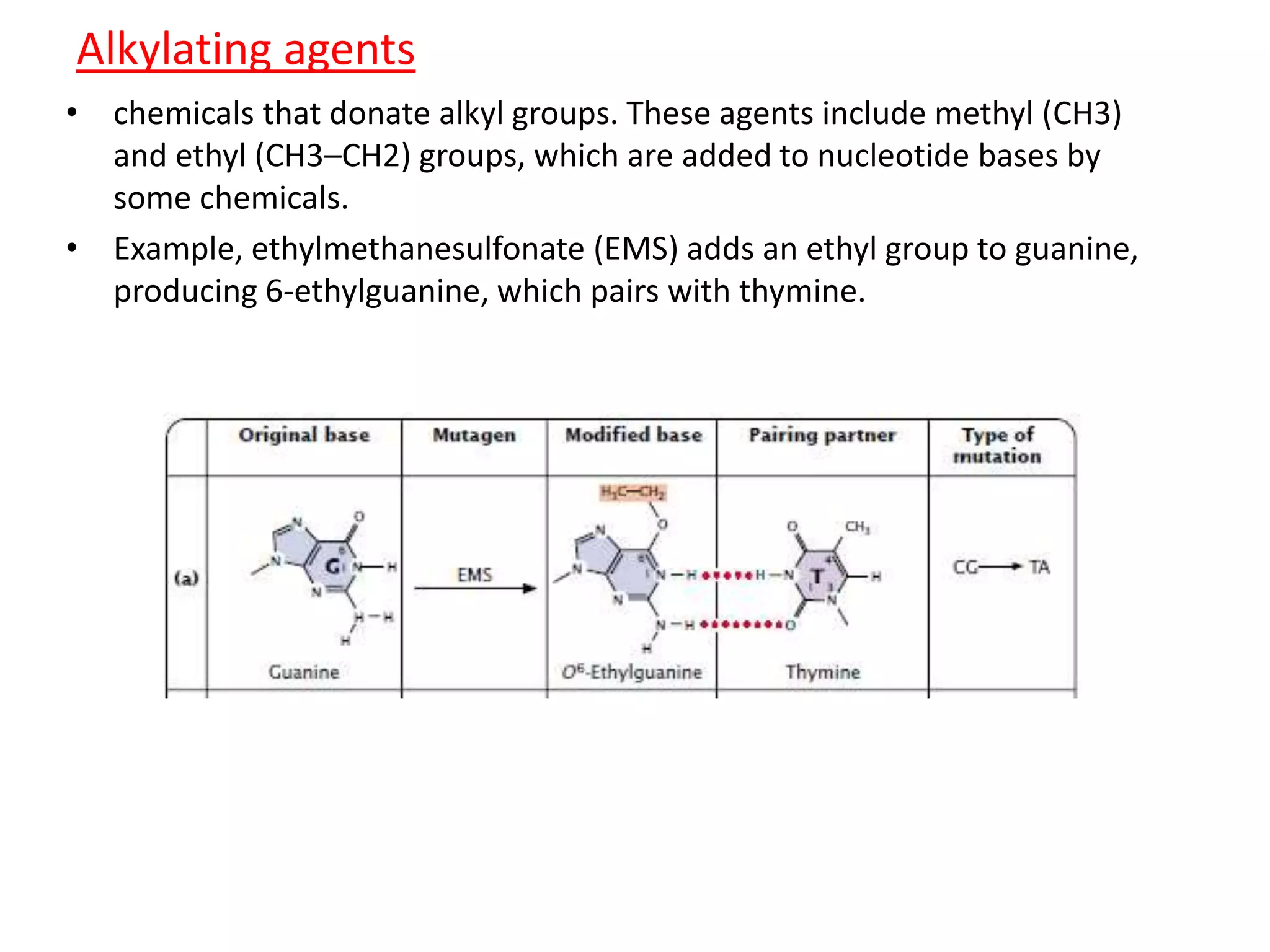 Spontaneous and induced mutations | PPTX