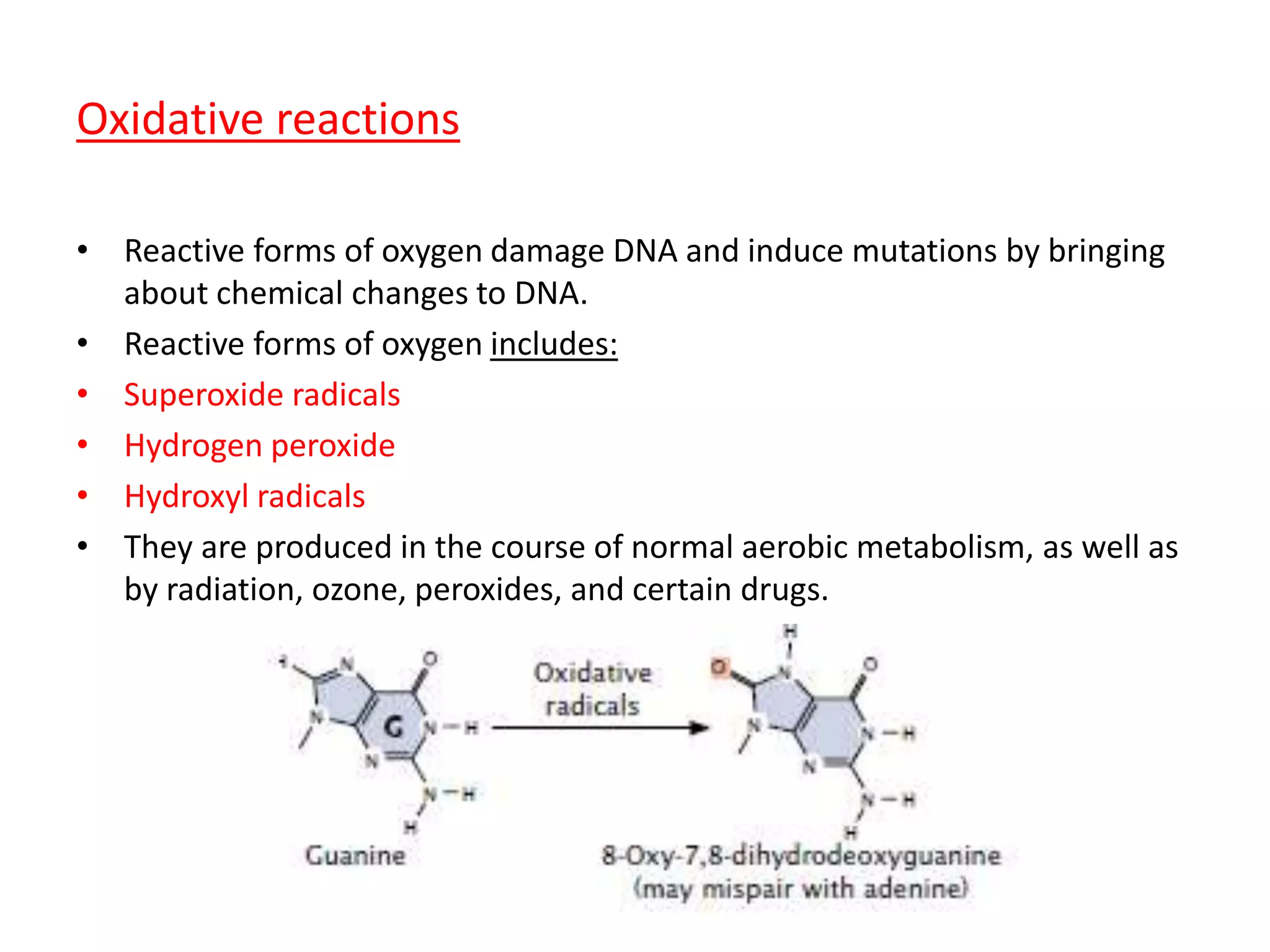 Spontaneous and induced mutations | PPTX