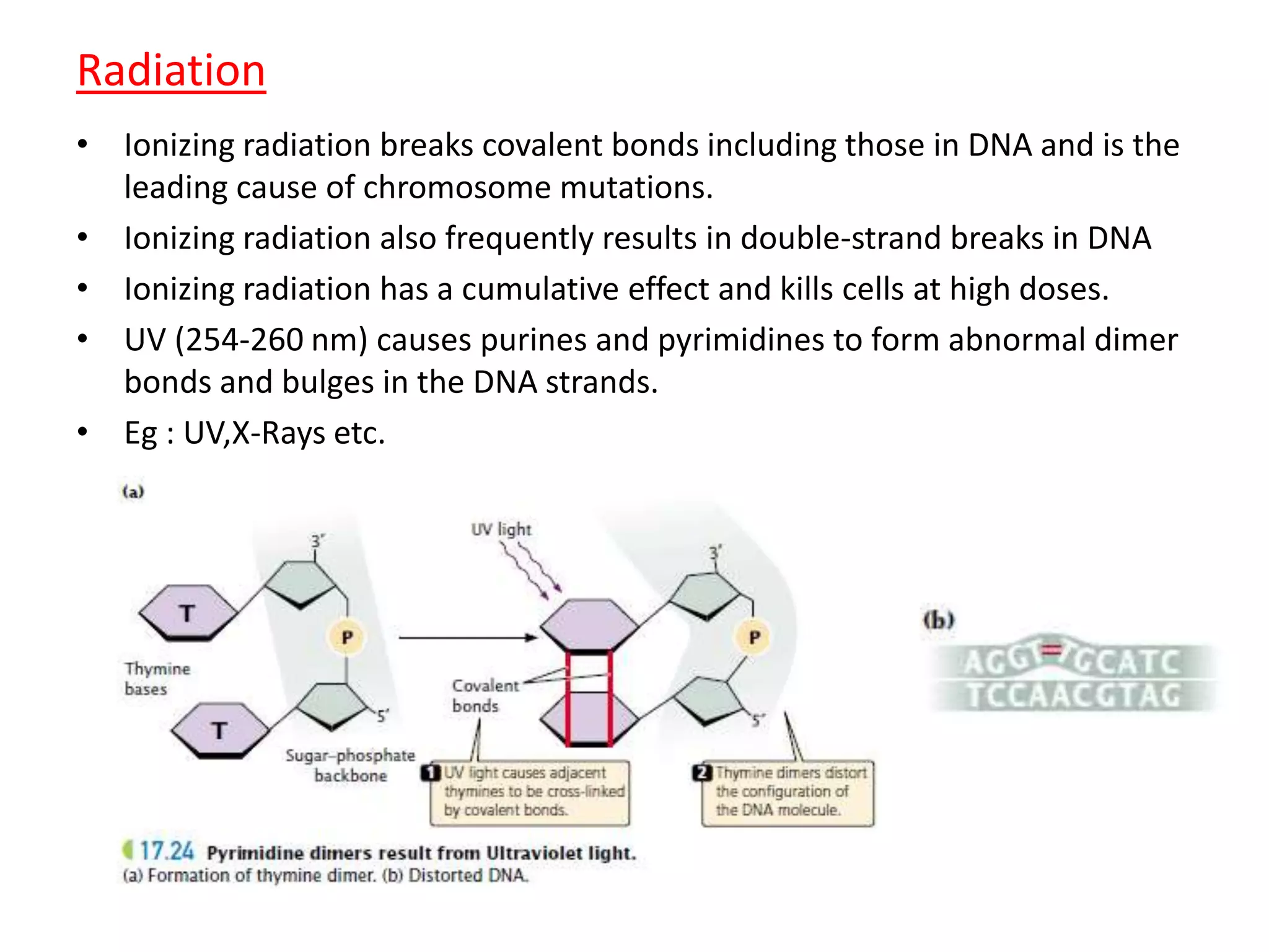 Spontaneous and induced mutations | PPTX