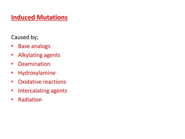 Spontaneous and induced mutations | PPTX | Chemistry | Science