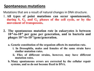 Spontaneous and induced mutations | PPTX | Chemistry | Science