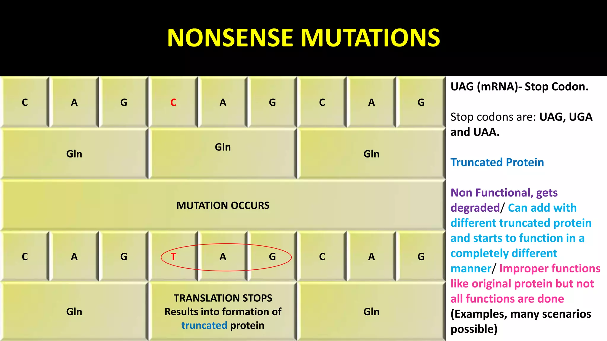Mutations types and causes | PPTX