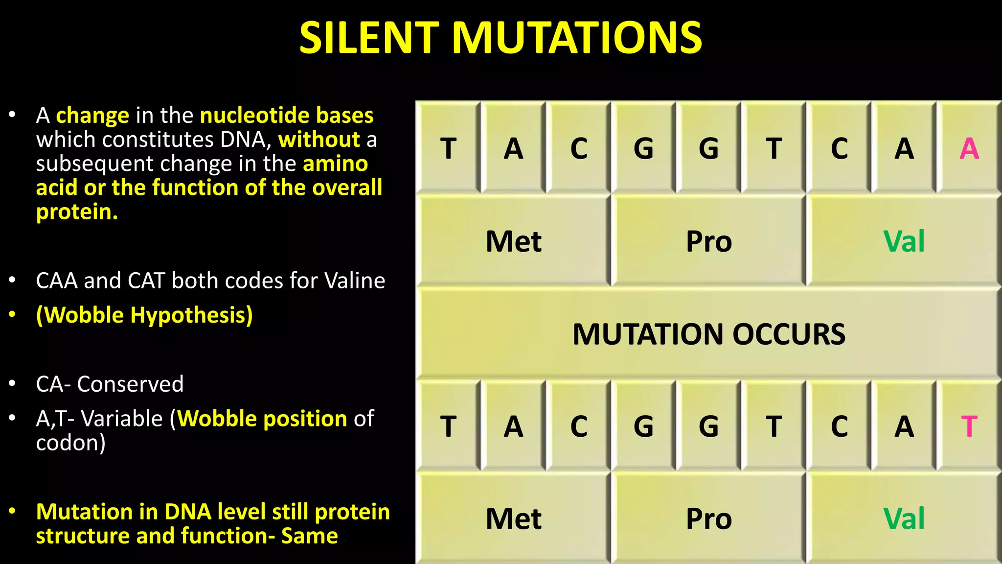 Mutations types and causes | PPTX