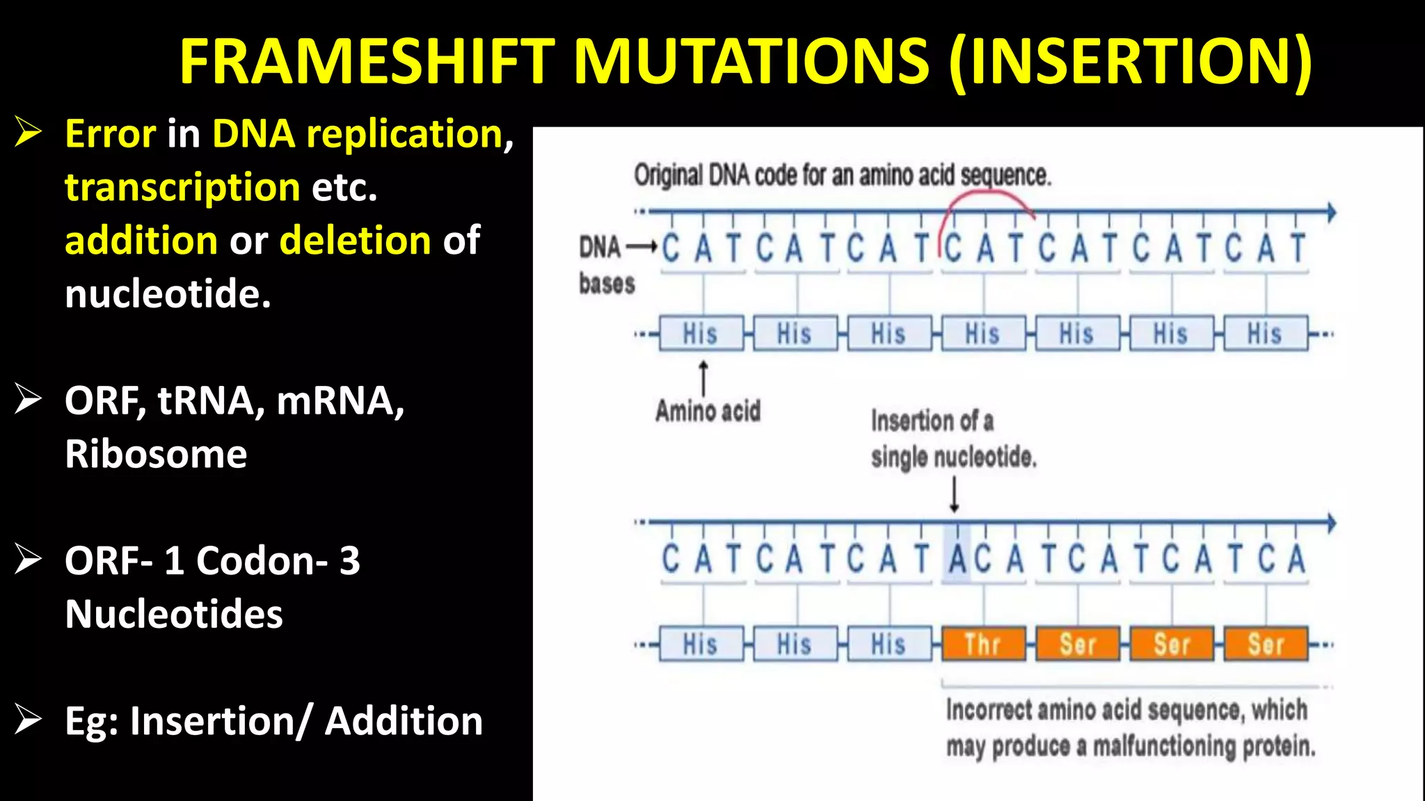 Mutations types and causes | PPTX
