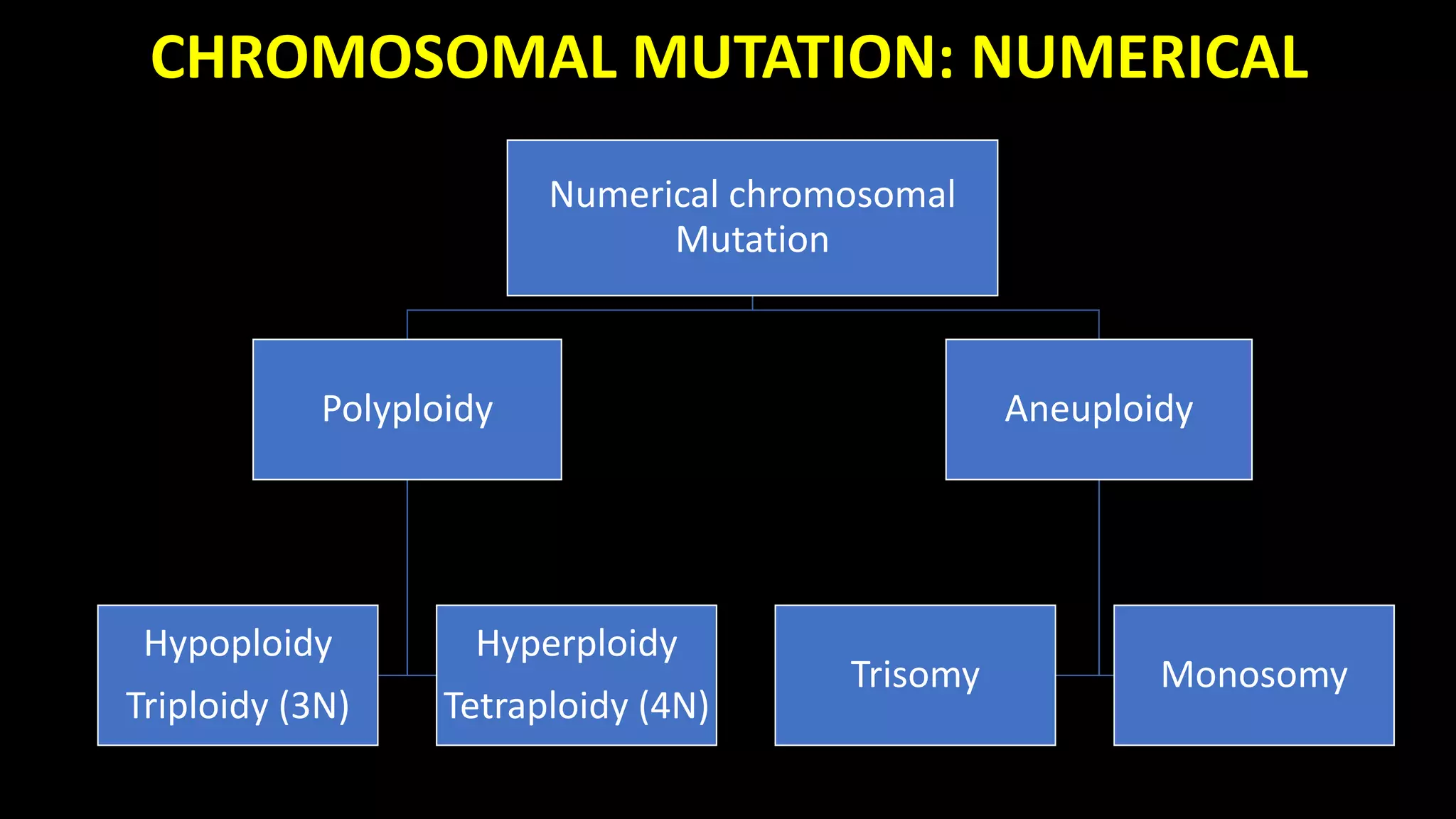 Mutations types and causes | PPTX