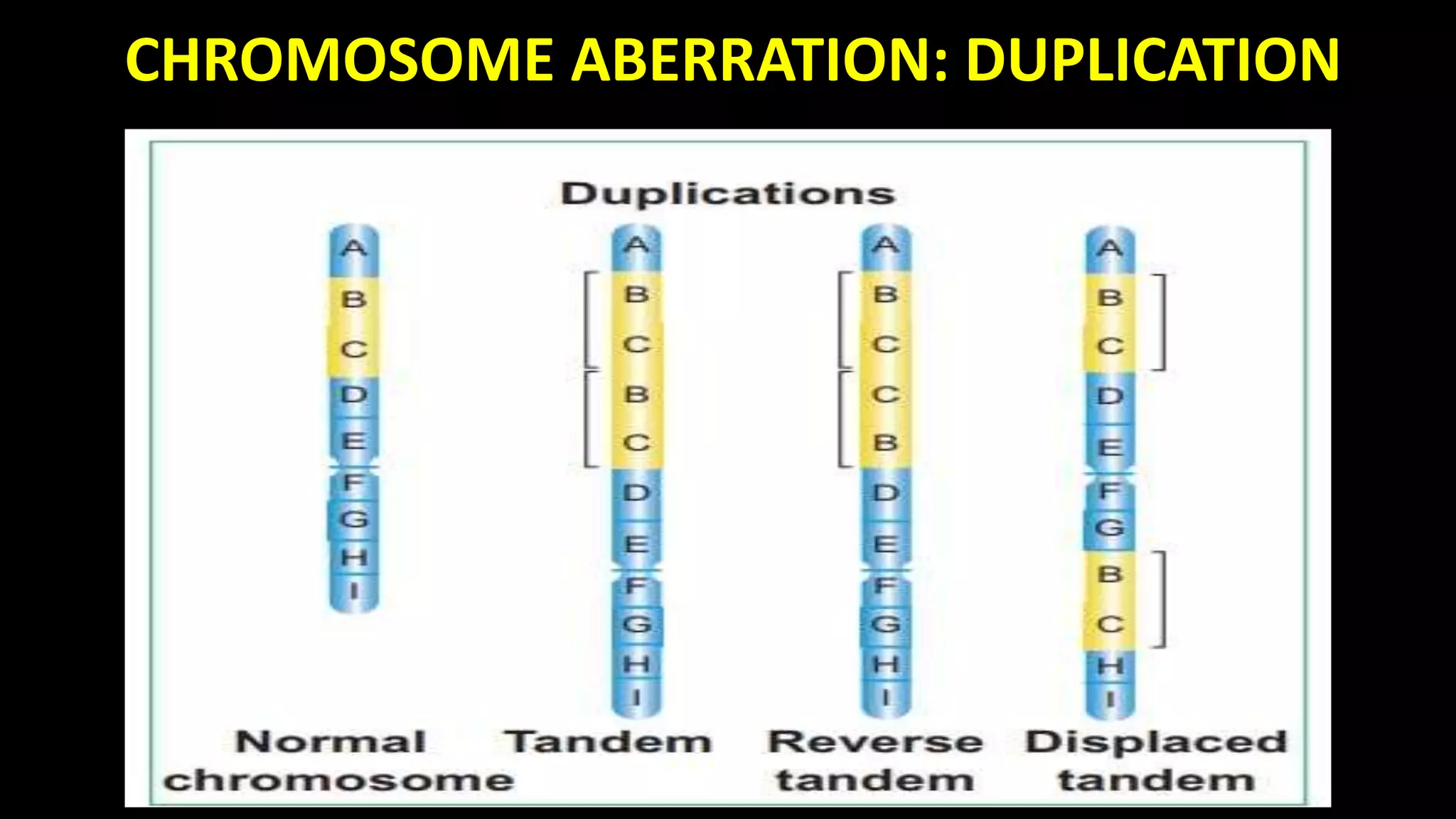 Mutations types and causes | PPTX