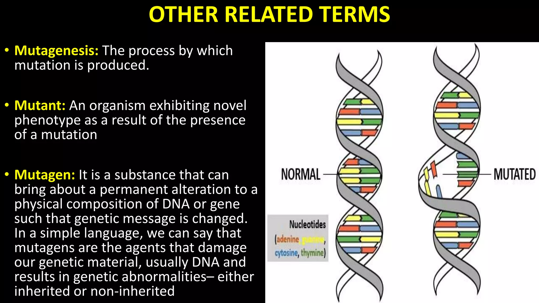 Mutations types and causes | PPTX