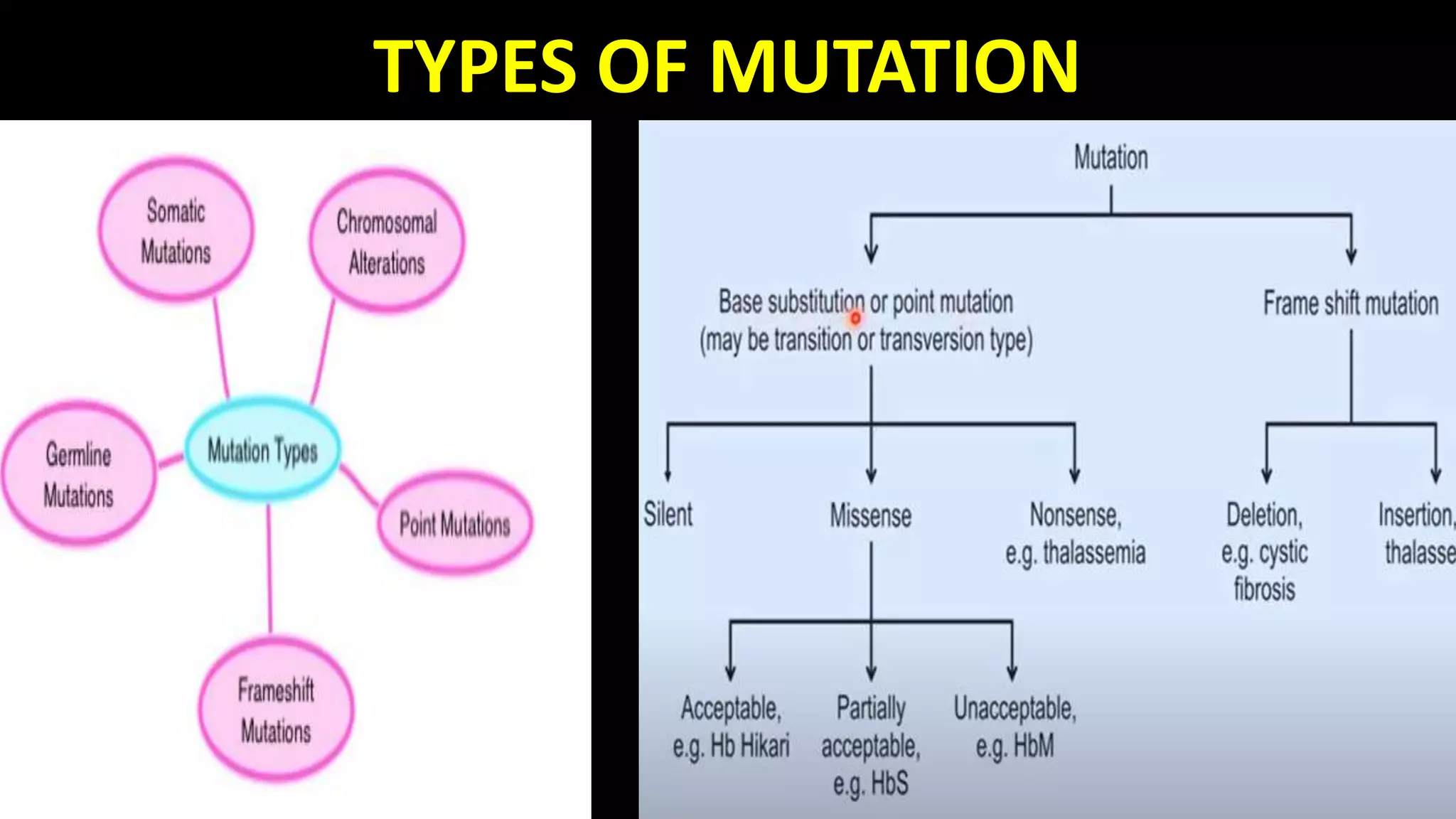 Mutations types and causes | PPTX
