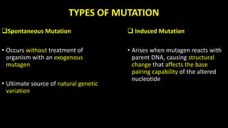 Mutations types and causes | PPTX