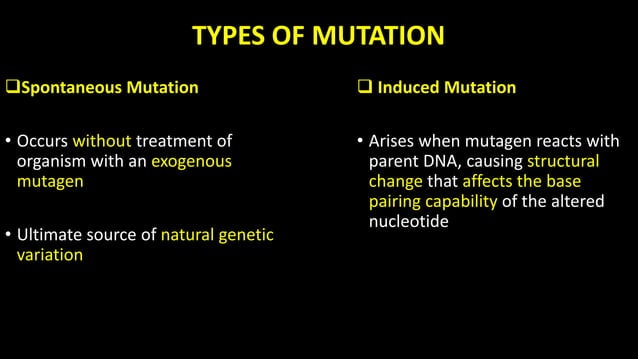 Mutations types and causes | PPTX | Genetics | Science