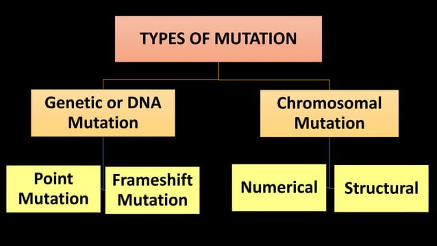 Mutations types and causes | PPTX | Genetics | Science