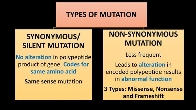 Mutations types and causes | PPTX | Genetics | Science
