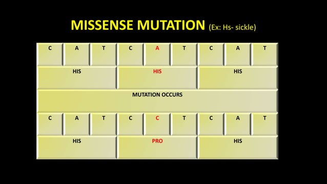 Mutations types and causes | PPTX | Genetics | Science