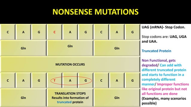 Mutations types and causes | PPTX | Genetics | Science