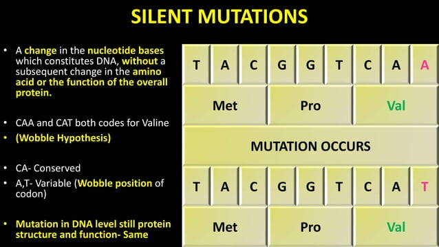 Mutations types and causes | PPTX | Genetics | Science