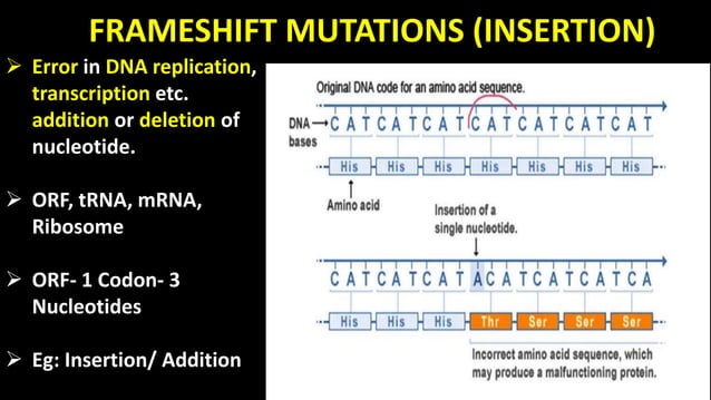 Mutations types and causes | PPTX | Genetics | Science