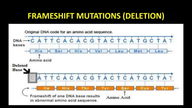 Mutations types and causes | PPTX | Genetics | Science