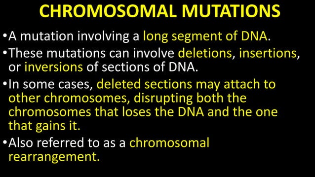 Mutations types and causes | PPTX | Genetics | Science