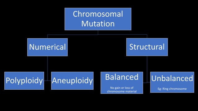 Mutations types and causes | PPTX | Genetics | Science