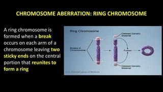 Mutations types and causes | PPTX