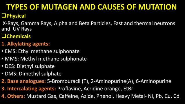 Mutations types and causes | PPTX | Genetics | Science