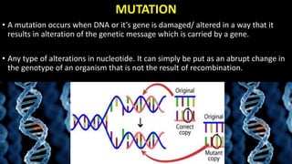 Mutations types and causes | PPTX