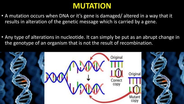 Mutations types and causes | PPTX | Genetics | Science