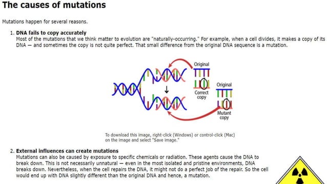 Mutations types and causes | PPTX | Genetics | Science