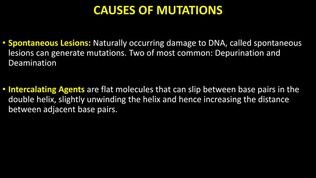 Mutations types and causes | PPTX | Genetics | Science