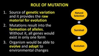 Mutations types and causes | PPTX