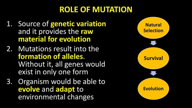 Mutations types and causes | PPTX | Genetics | Science