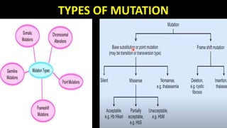 Mutations types and causes | PPTX