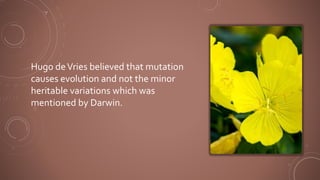 Mutation theory | PPTX