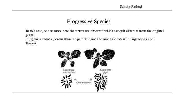 Mutation Theory of De Vries.pdf | Genetics | Science