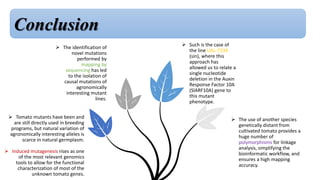 Mutation in tomato using EMS and gene discovery.pptx