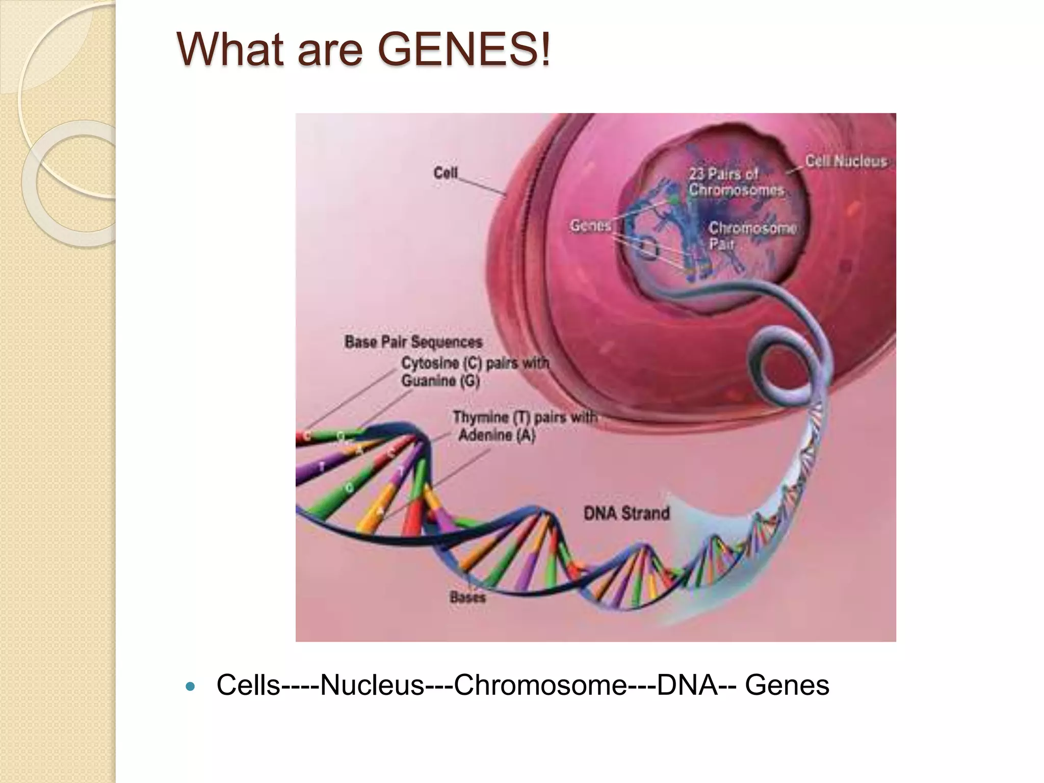 Mutation with transmission pattern of single gene disorder | PPTX