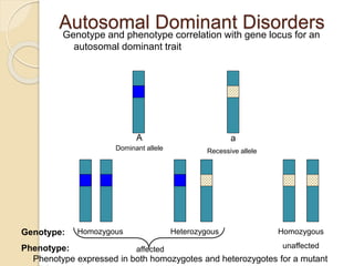 Mutation with transmission pattern of single gene disorder | PPTX