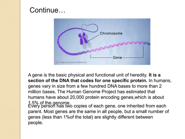 Mutation with transmission pattern of single gene disorder | PPTX
