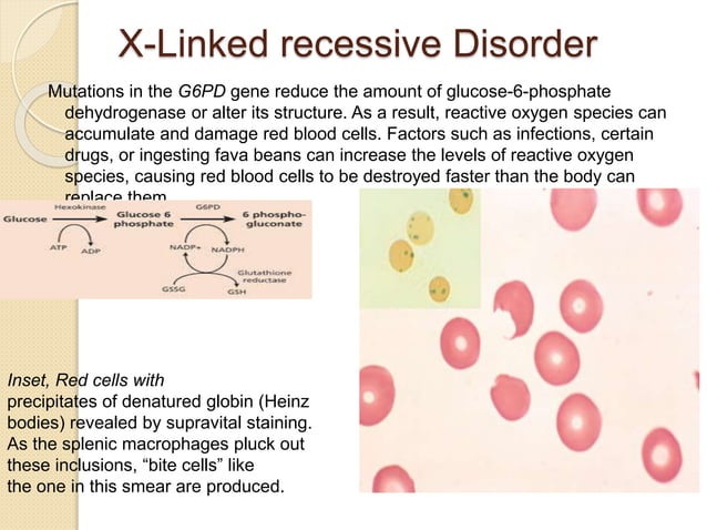 Mutation with transmission pattern of single gene disorder | PPTX